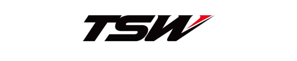 TSW-Logo-Template-960X200 | Team Nutz Technology