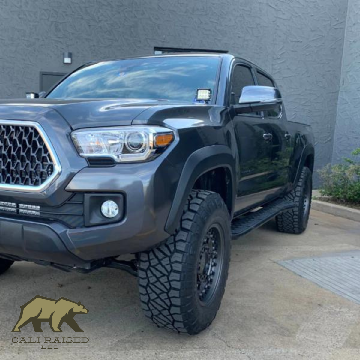 Cali Raised LED Rock Sliders | Team Nutz Technology